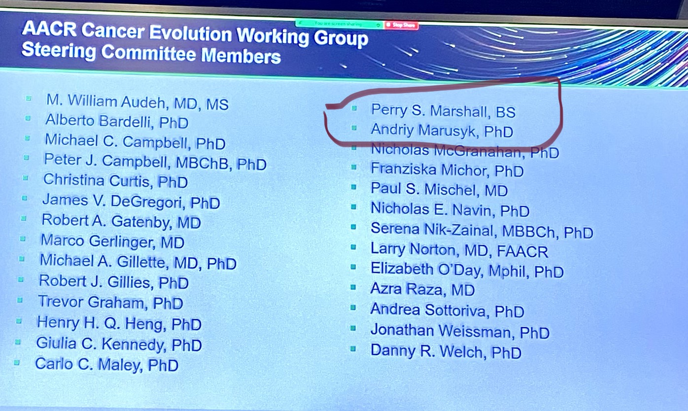 Dark Horse | Perry Marshall